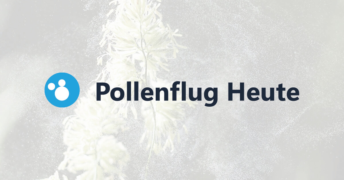 Pollenflug-Vorhersage für alle Städte in Deutschland